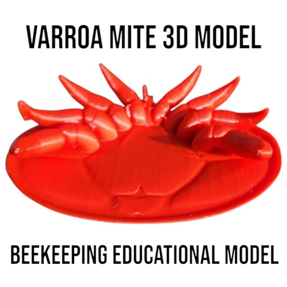 Toys | Varroa Mite Varoa Destructor Bug Insect Model Beekeeping ...